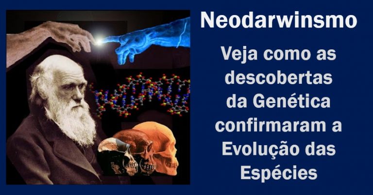 Veja as características do Neodarwinismo na Evolução das Espécies
