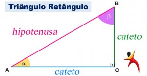 Triângulo retângulo e as suas relações trigonométricas - Blog do Enem