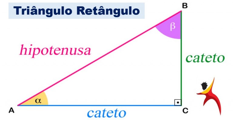 Triângulo retângulo e as suas relações trigonométricas - Blog do Enem