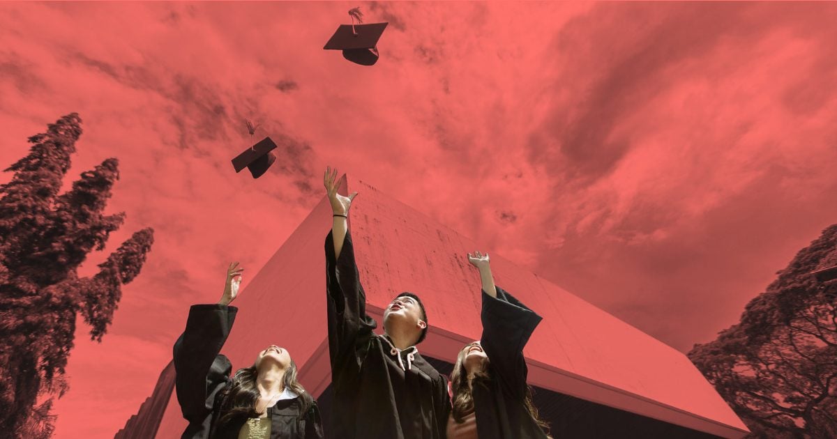 Como conquistar uma bolsa de estudos?