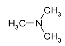 Amina Quimica Organica