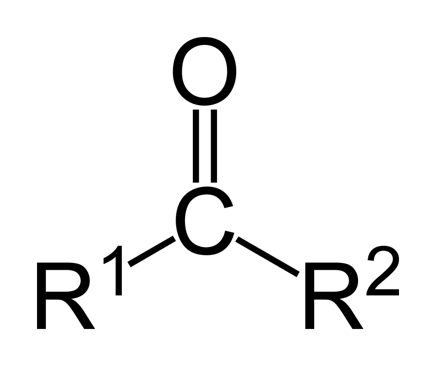 BIOQUIMICA