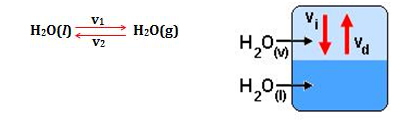 Química: Equilíbrio químico – Tudo sobre a reversibilidade das reações